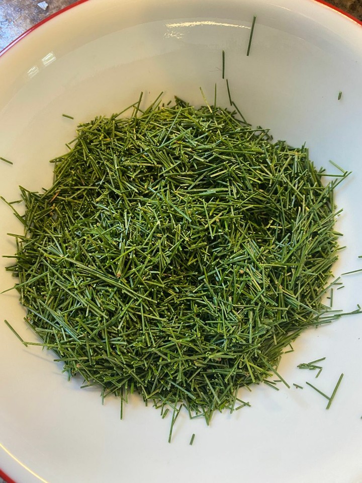 Eastern White Pine Tree Tea DIY Kit Organic Wild Suramin Immunity ...