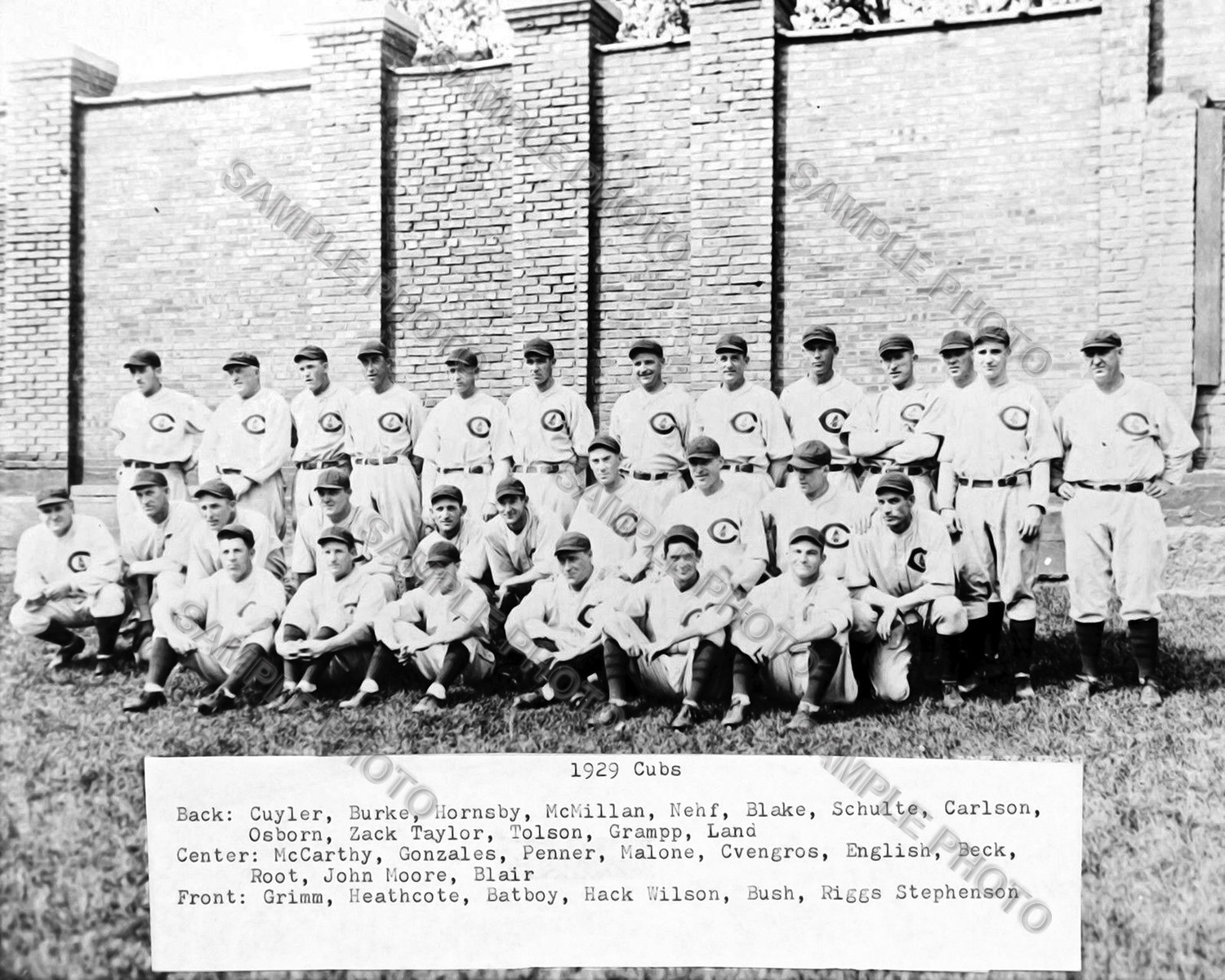 1929 CHICAGO CUBS NLCS CHAMPIONS WORLD SERIES 8X10 TEAM PHOTO | eBay