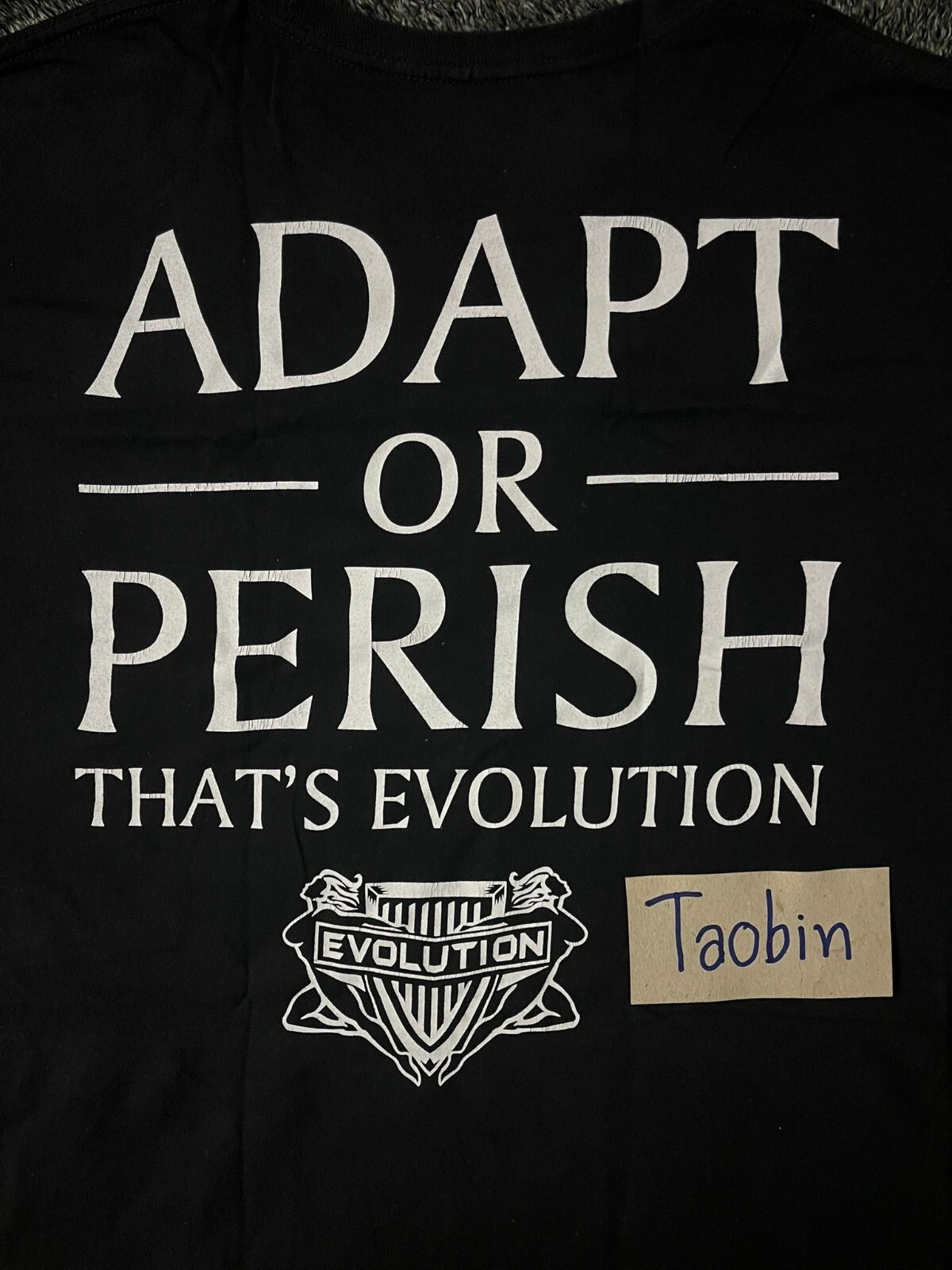 Wwe Evolution Adapt Or Perish