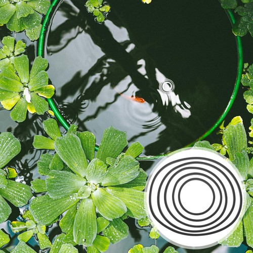 5 Pcs Floating Plant Fence Circle Fish Tank Tanks | eBay
