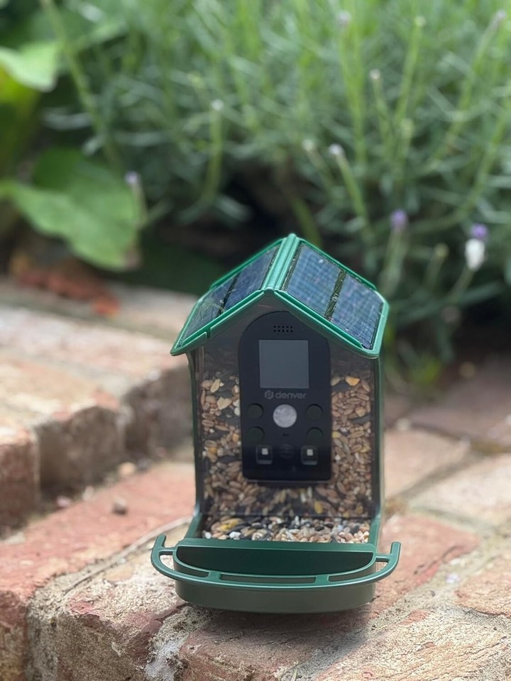 Solar Bird Feeder Camera Motion Activated Video & Photo Infra-Red Night ...