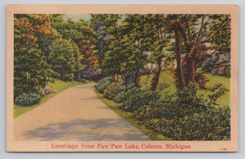 Coloma Michigan Paw Paw Lake Greetings Country Road VTG Postcard | eBay