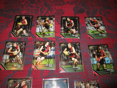 ESSENDON - FULL TEAM SET 2011 SELECT SIGNED CARD | eBay Australia