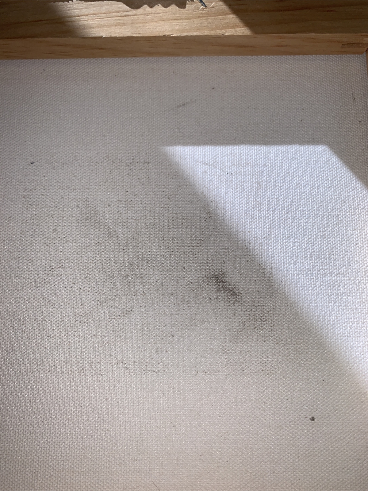 Sunshine Yellow Flower Canvas Wall Art from Oopsy Daisy Too Winborg ...