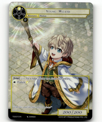 Force of Will Young Wizard (Full Art) The Underworld of Secrets | eBay
