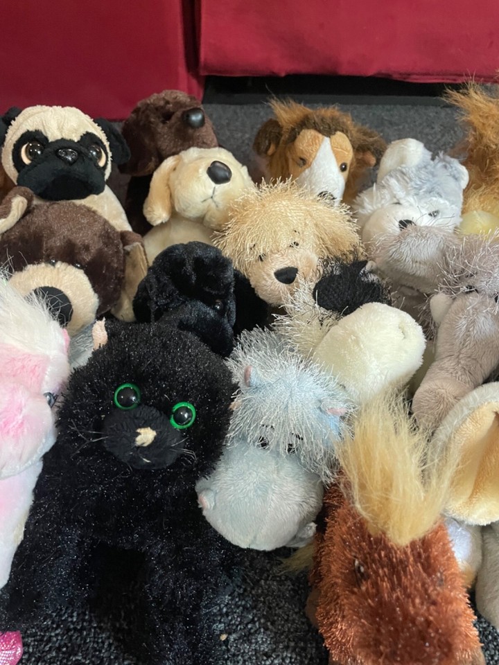 HUGE Webkinz Lot - NO CODES - Includes retired and rares! | eBay