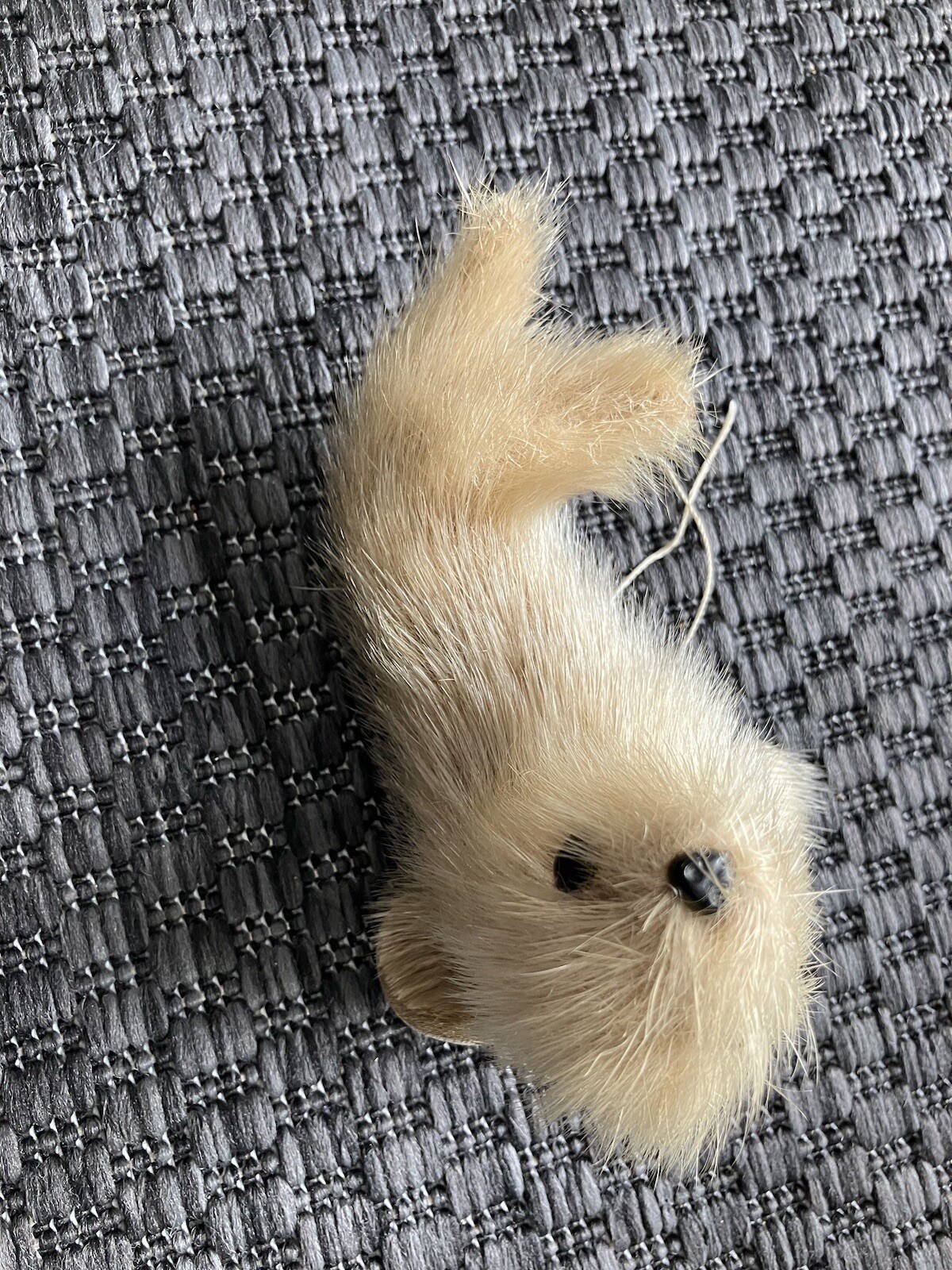 Altmann Seehund Alt Seelöwe Echtfell Figur Spielzeug Seerobbe mit Ori ...