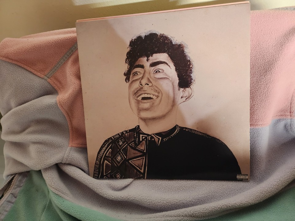 Hobo Johnson - The Rise of Hobo Johnson - LP | eBay