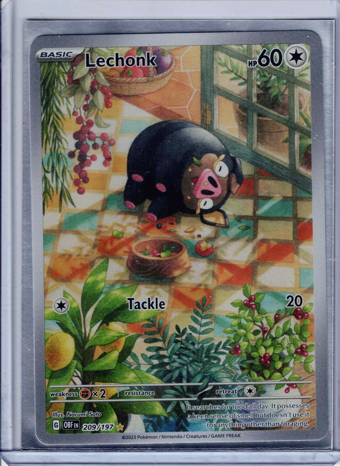 Lechonk SV03 Obsidian Flames 209/197 Holo Illustration Rare Pokémon TCG ...