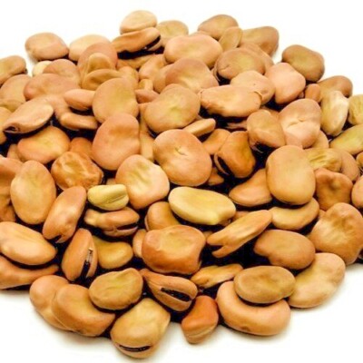 Broad Beans Fava Beans High Quality Light Yellow Colour- Bulk Wholesale ...