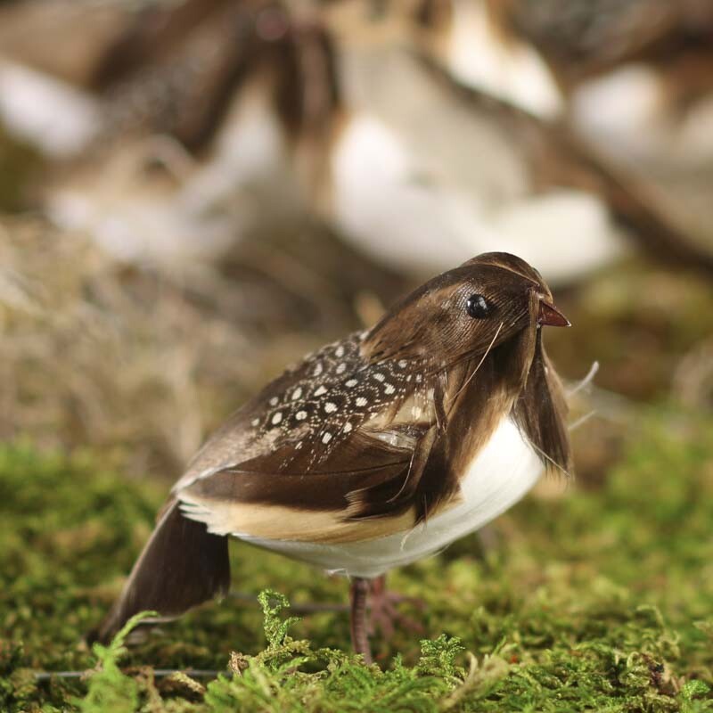 Nature Package of 12 Cute and Plump Feathered Artificial Partridge ...