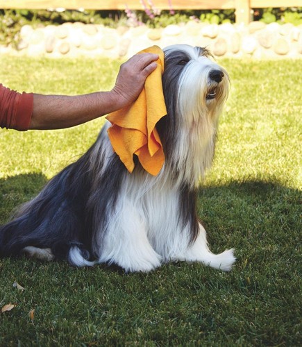 ShamWow Original Super Absorbent Multi-Purpose Cleaning Shammy 4 Pack ...