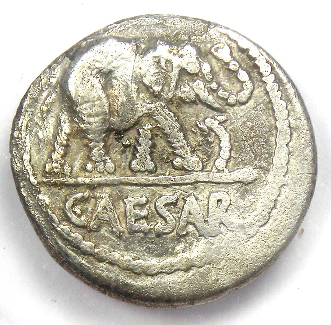 Julius Caesar AR Denarius Silver Elephant Roman Coin 49 BC - Certified ...