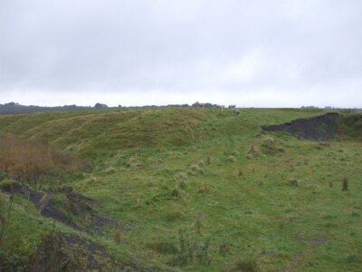 Photo 6x4 Sheep on spoil heap Longriggend c2008 | eBay UK