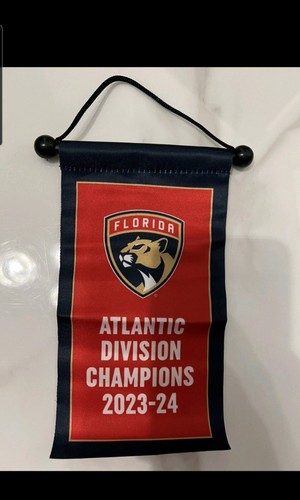 Florida Panthers 2024 Atlantic Division Champions mini Banner SGA | eBay