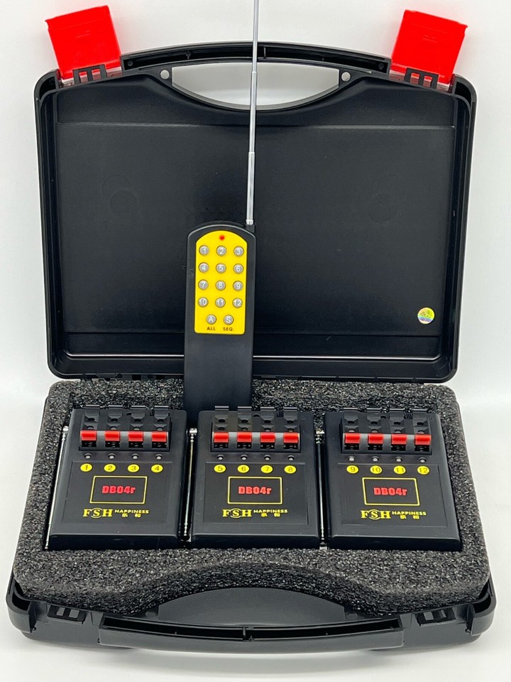 Profession 12 Cue Wireless Fireworks Firing system Remote control-Ships ...
