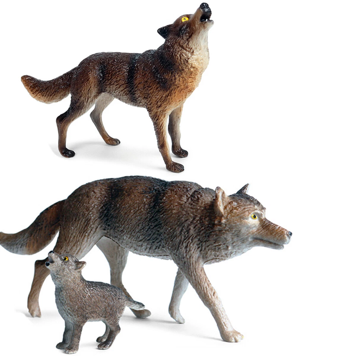 Pet Grey Wolf