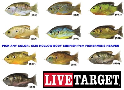 Live Target Sunfish Bluegill Hollow Body Topwater Pick any SFH Color ...