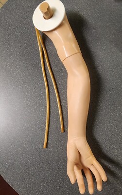 Training & Manikins - Training Arm