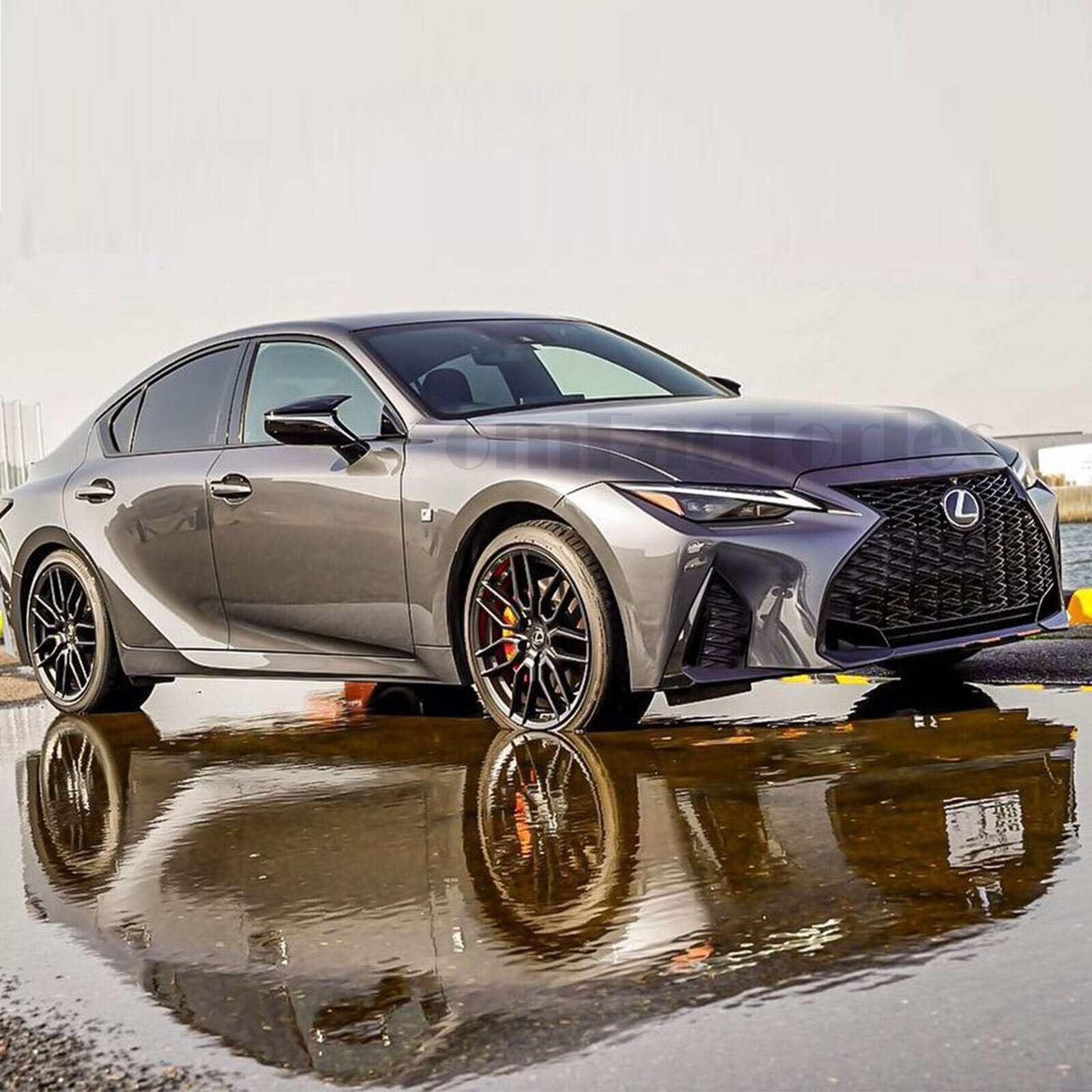 2021 2022 LEXUS IS300 IS350 F-SPORT FRONT UPPER GRILLE ASSEMBLY 52112 ...