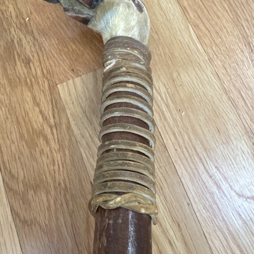 Antique Rustic Birch Walking Stick/Cane W/ Taxidermy Deer Hoof Top - 34 ...