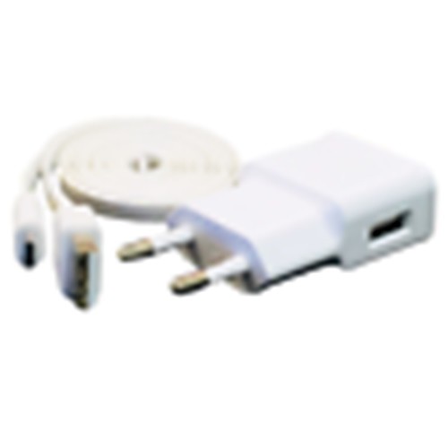 Fast Charging Samsung Galaxy S6 / Edge / Plus Europe EU Travel Plug ...