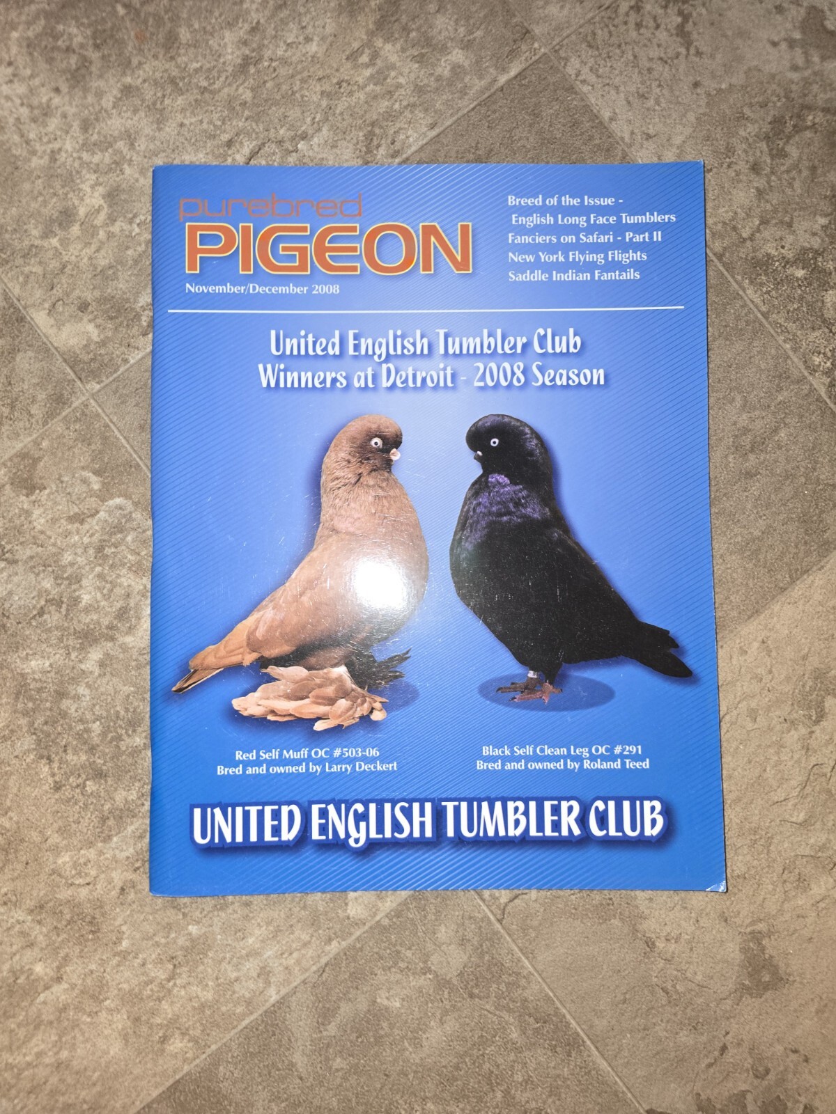 Purebred Pigeon Magazine November/December 2008 | eBay
