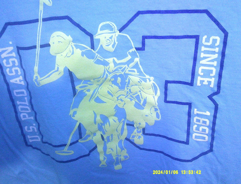 Polo Ralph Lauren Men's T-Shirt Blue Size L | eBay