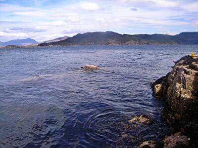 Photo 6x4 Northern edge of Sgeir Bhuidhe Plockton/Am Ploc With the ...