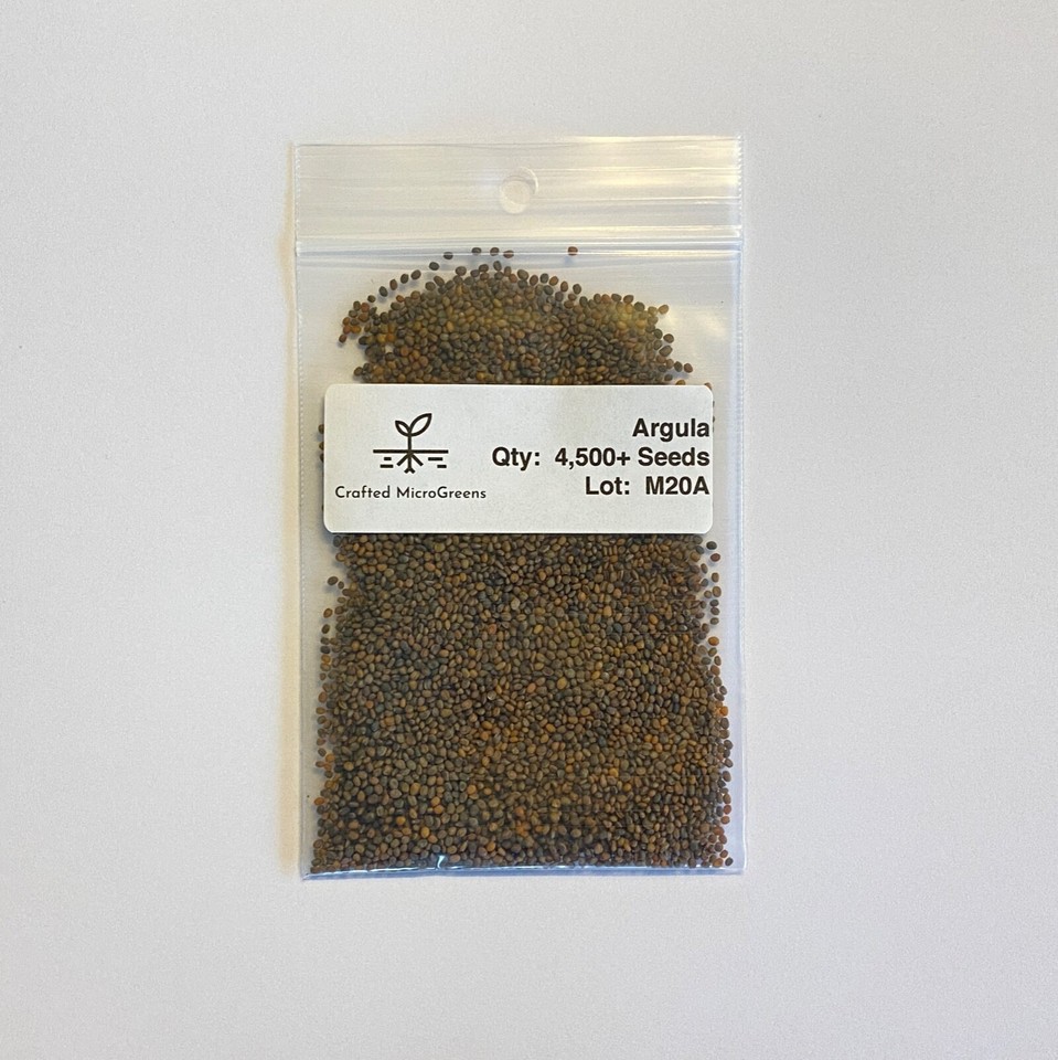 Garden Seeds ARUGULA 4500+ Seeds Sprout Sprouts Sprouting untreated Non ...