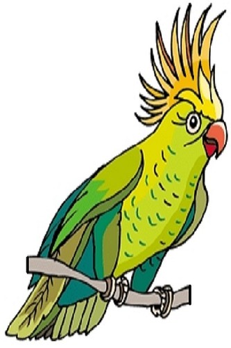 30 Custom Green Cockatoo Personalized Address Labels | eBay