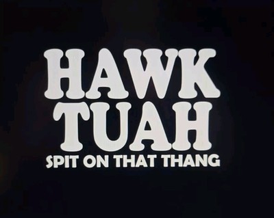 funny bumper stickers for cars Trucks Hawk Tuah Spit On That Thang USA ...