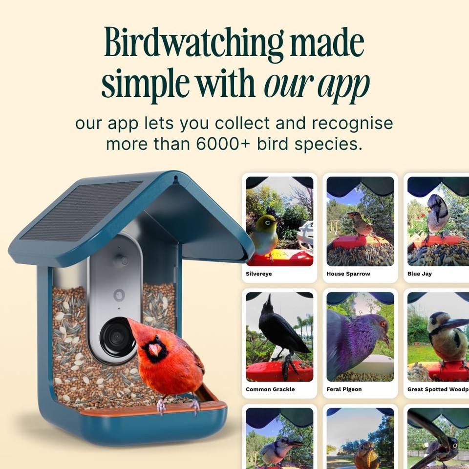 Birdbuddy PRO Solar Smart Bird Feeder with Camera - AI Bird Species Identific... | eBay