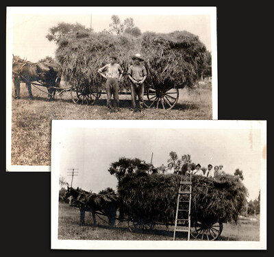 2 Original PHOTOGRAPHS Horses and Wagon Hayride Harvest Hay Season ...