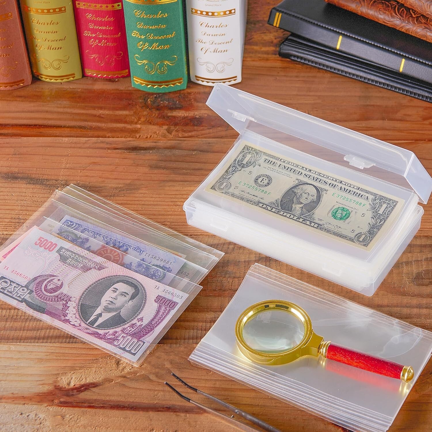 200 Pcs Dollar Bill Holder with Storage Case Plastic Paper Money ...