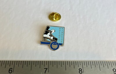 Quesnel BC Ringette - British Columbia Sports Vintage Collector Pin | eBay