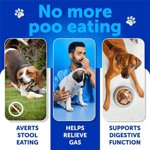 No Poo Chews for Dogs Puppy Coprophagia Stool Eating Deterrent 120 Soft ...