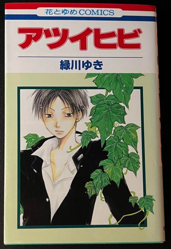 Atsui Hibi Japanese Manga Comic by Yuki Midorikawa Natsume's Book ...