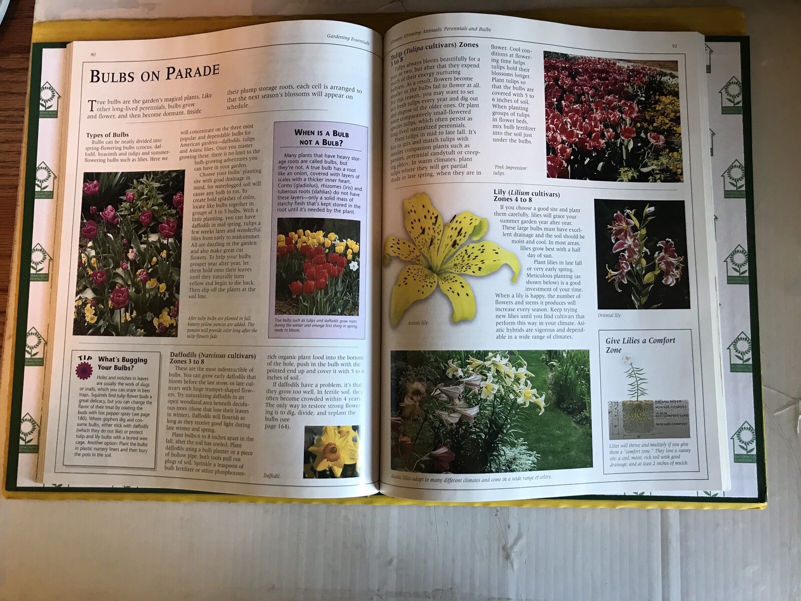 NATIONAL HOME GARDENING CLUB GARDENING ESSENTIALS USED HARDBACK 188 ...