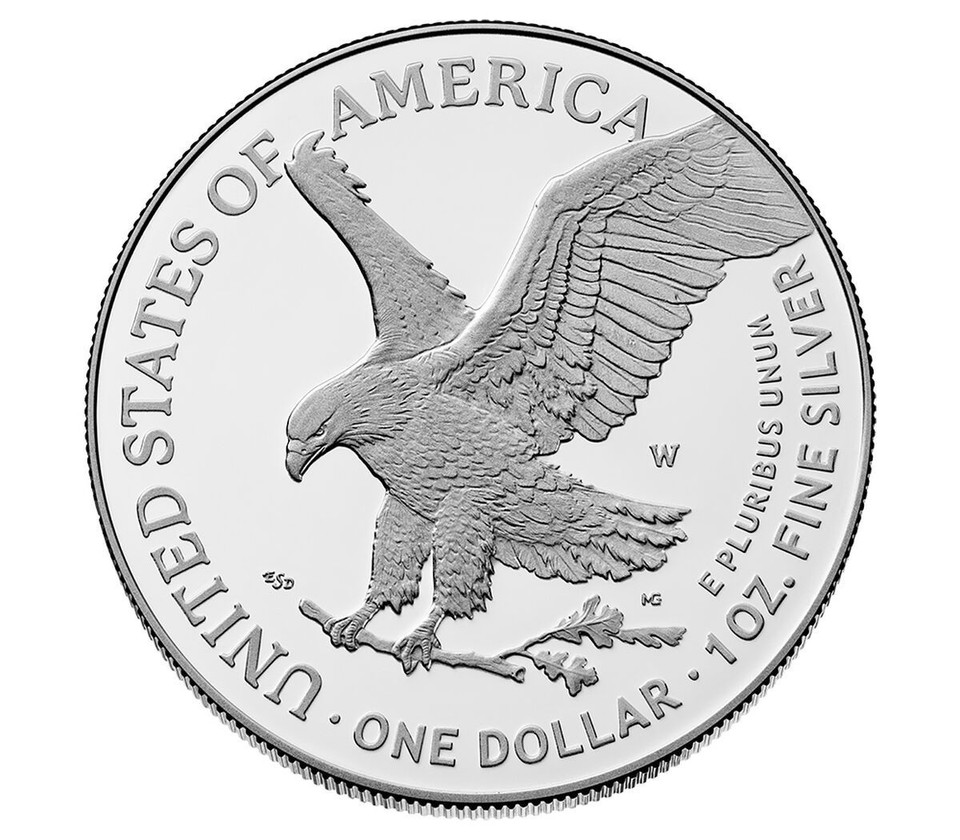 2025 W Silver American Eagle Laser Engraved One Ounce Proof Coin W/OGP ...