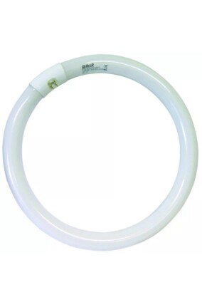 Reer Néon Fluorescent Circulaire g10q-freddissima 32w-2000 lumen-cm.31 ...