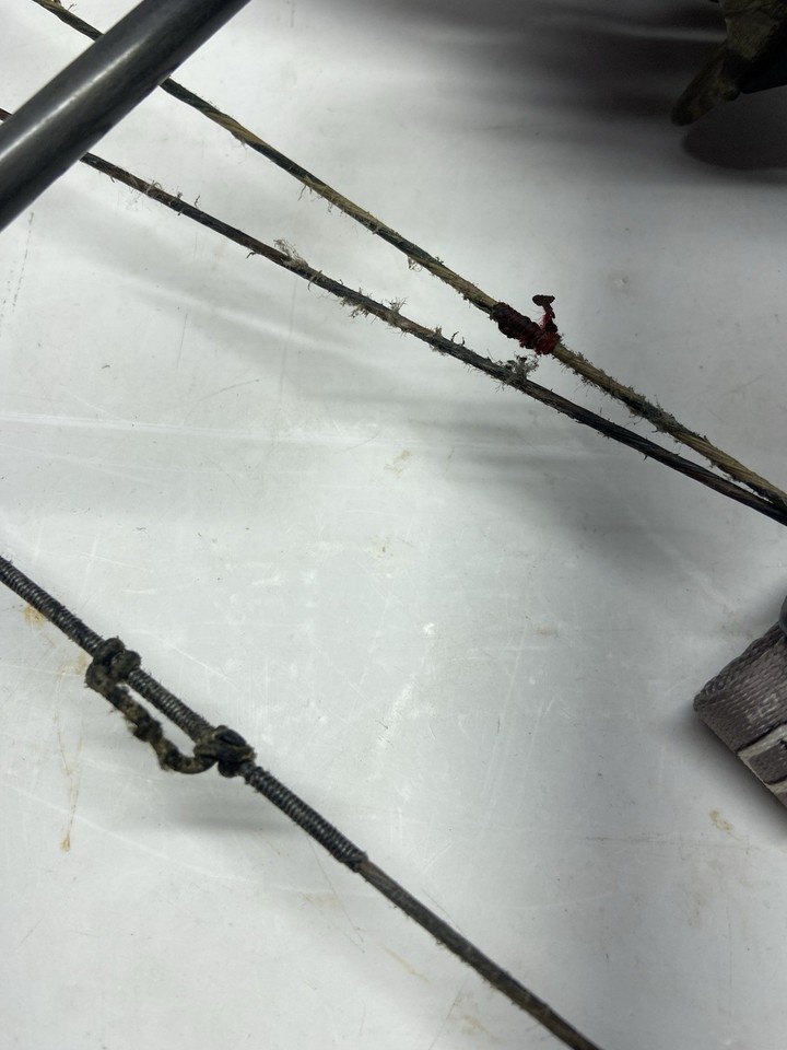 Bowtech Diamond Outlaw Compound Bow | eBay