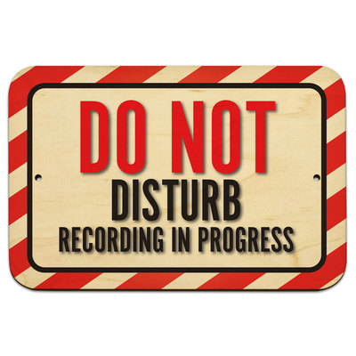 Do Not Disturb Recording In Progress 9" x 6" Wood Sign | eBay