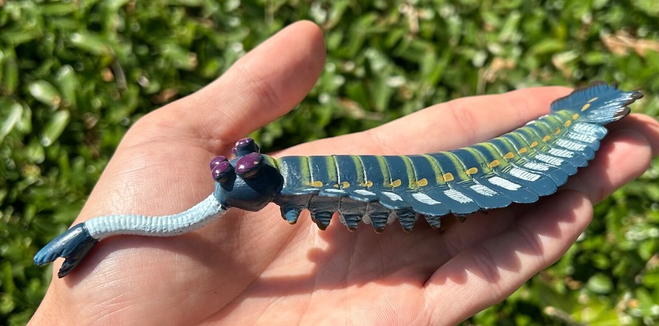 Opabinia Arthropod Fossil Model Display Replica Toy Teaching ...