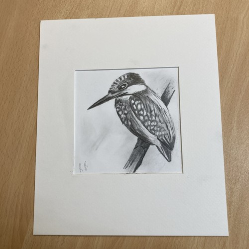 ORIGINAL DRAWING OF A KINGFISHER, HAND SIGNED | eBay