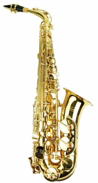 Merano Green Alto Saxophone Case Extra 10 Reeds Metro Tuner for sale ...