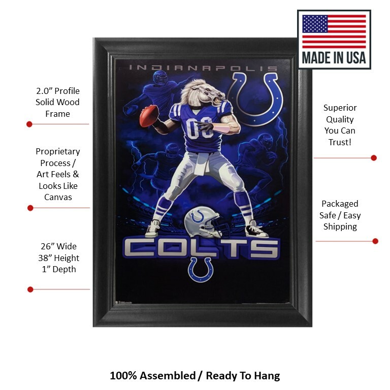 Indianapolis Colts Horse
