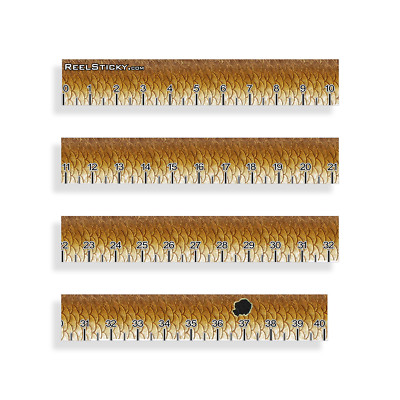 Redfish Ruler Sticker Measuring Tape Measure Fishing Boat Red Drum Fish ...
