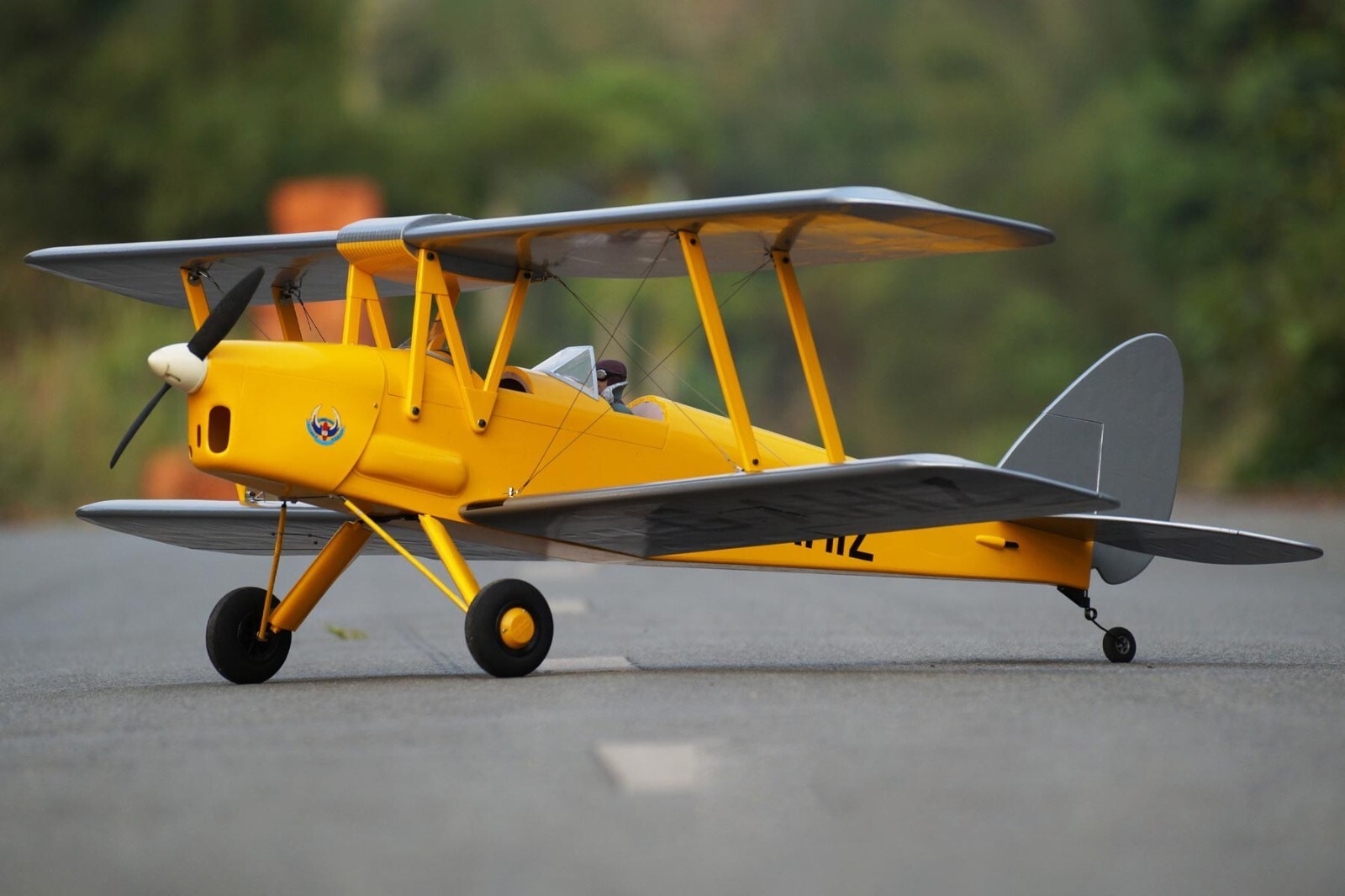 RC Airplane Aircraft Biplane Nexa DH.82 Tiger Moth 1400mm 55" Wingspan ...
