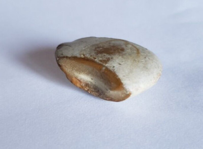 Water Washed Golden Find- Lake Superior Agate -**See Description** | eBay